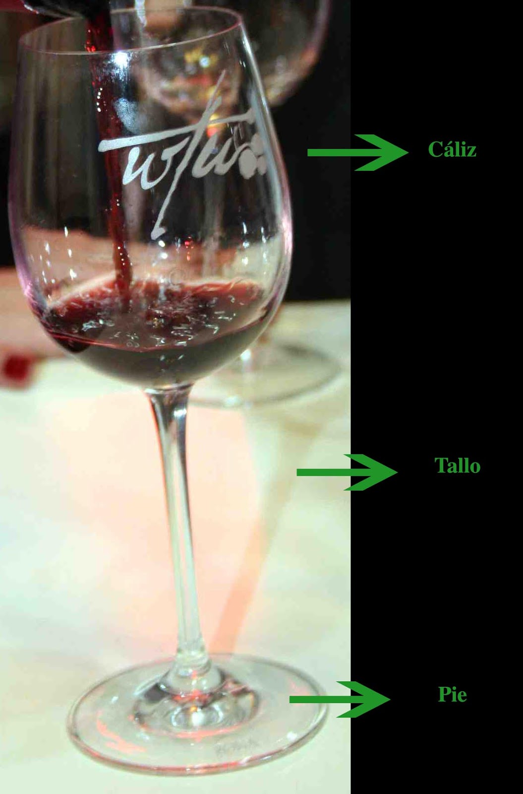 ABC del vino: #1 - La copa - Wine Tour Urbano