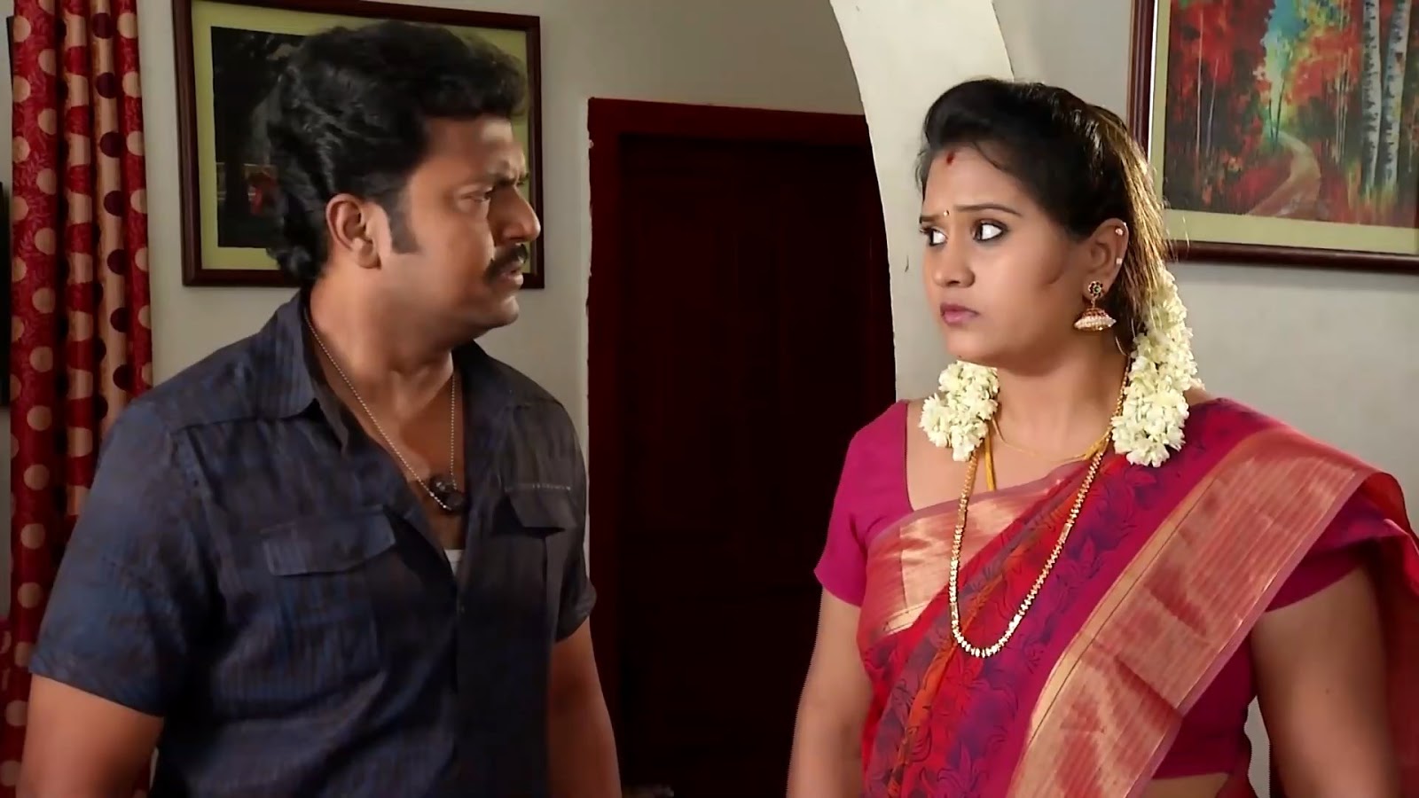 Tamil Serial Actress Sexy Navel Sideview in Saree -Sa - Television ...