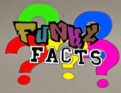 What's The Bottom Line?: What's The Bottom Line special Funky Facts