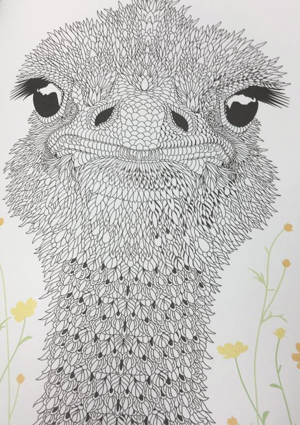 Ben Franklin Crafts and Frame Shop, Monroe, WA: Add Dimension to ...