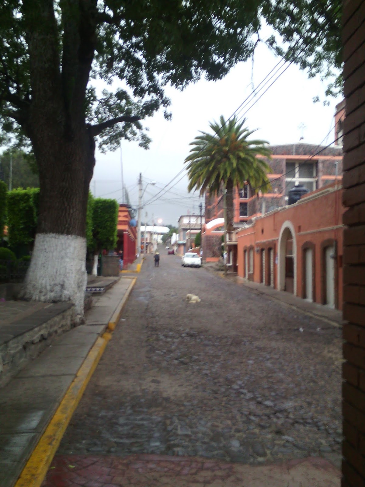 Contepec, Michoacán.