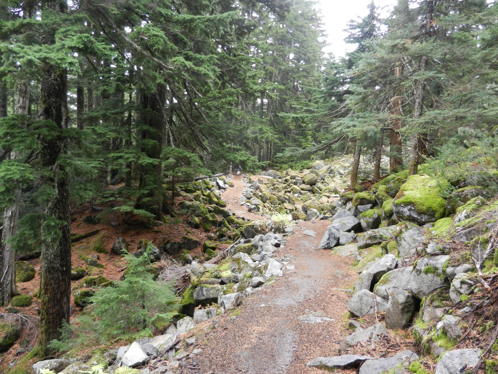 Off on Adventure: Mount Defiance - Alpine Lakes Wilderness - 10/14/12