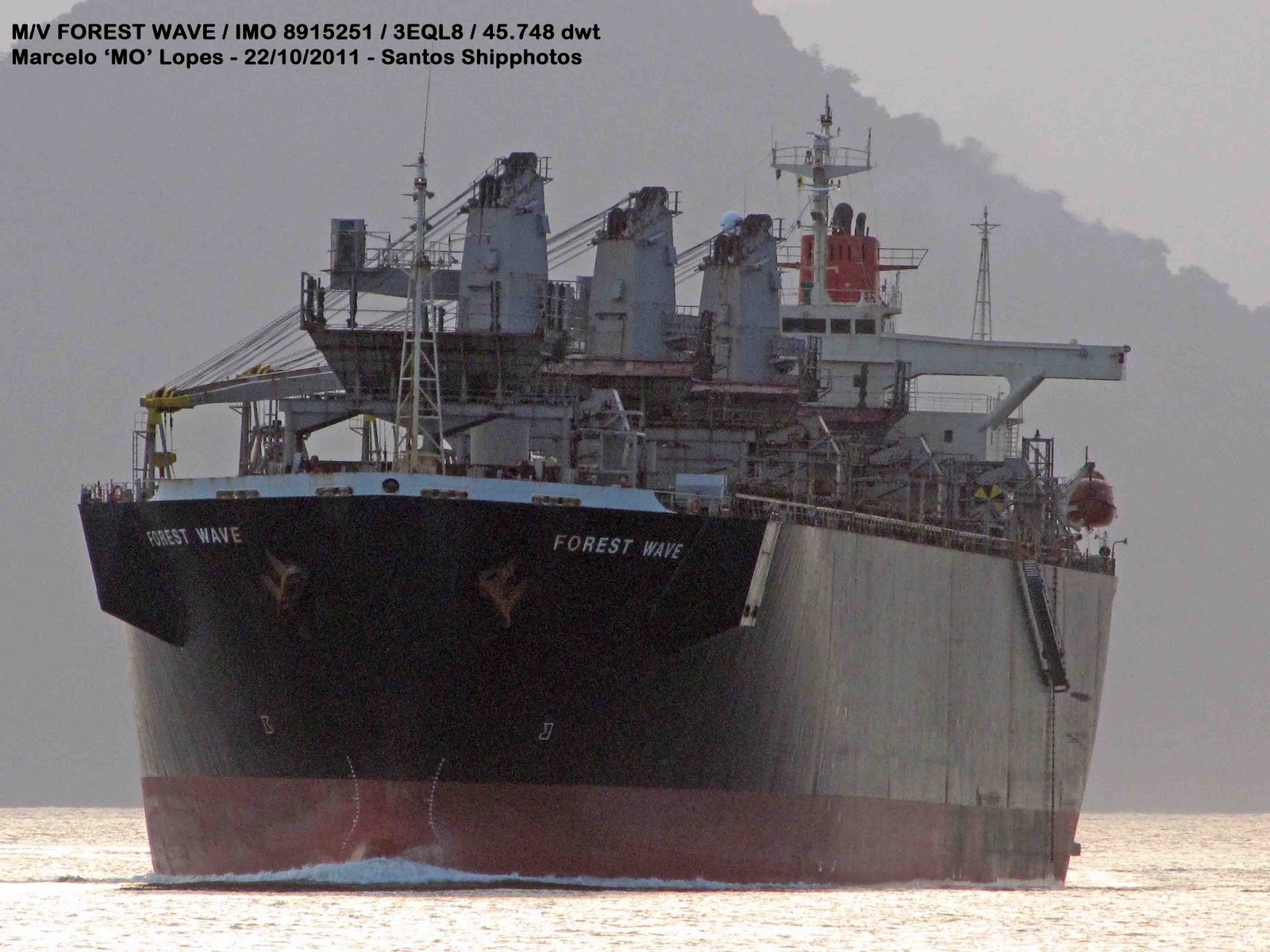 Santos Shiplovers: M/V Forest Wave / 3EQL8 - Um Wood Chip Carrier