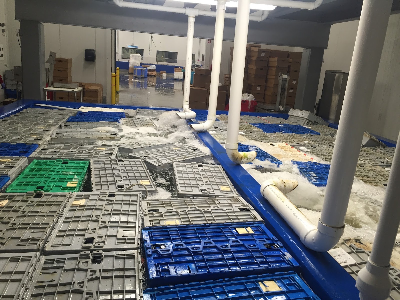 The Edible Ocean: Congressional Seafood Gets New Digs