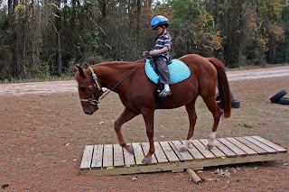 Beloved Bride: A "Practical" Horse Obstacle Course
