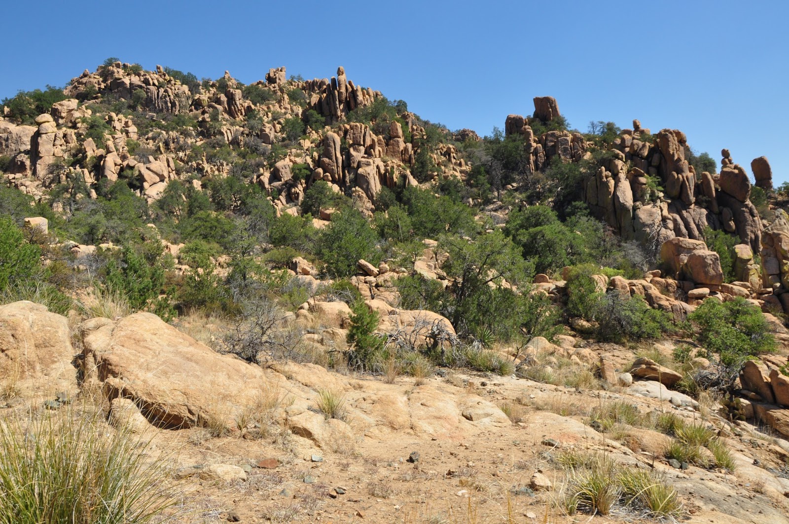 Photo and Travel Log: Arizona Hiking -- Cochise Stronghold