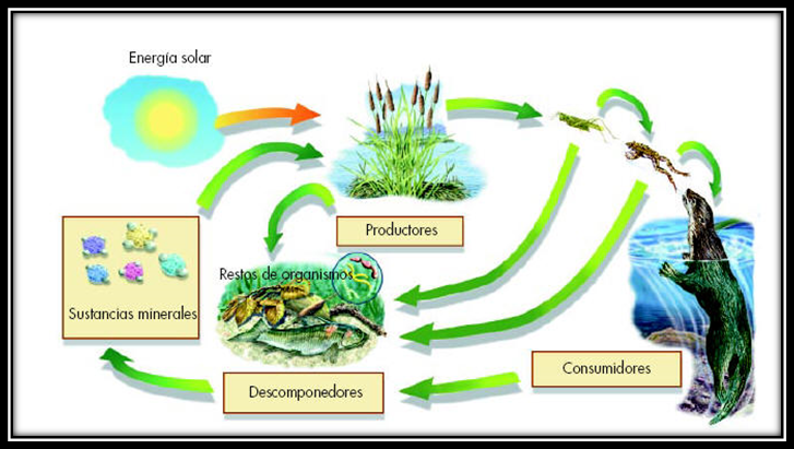 Conocimiento del medio. ¡Aprendemos juntos!: Las relaciones ...