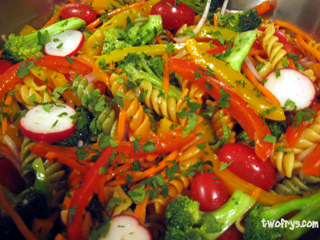 Two Frys: Rotini Veggie Pasta Salad