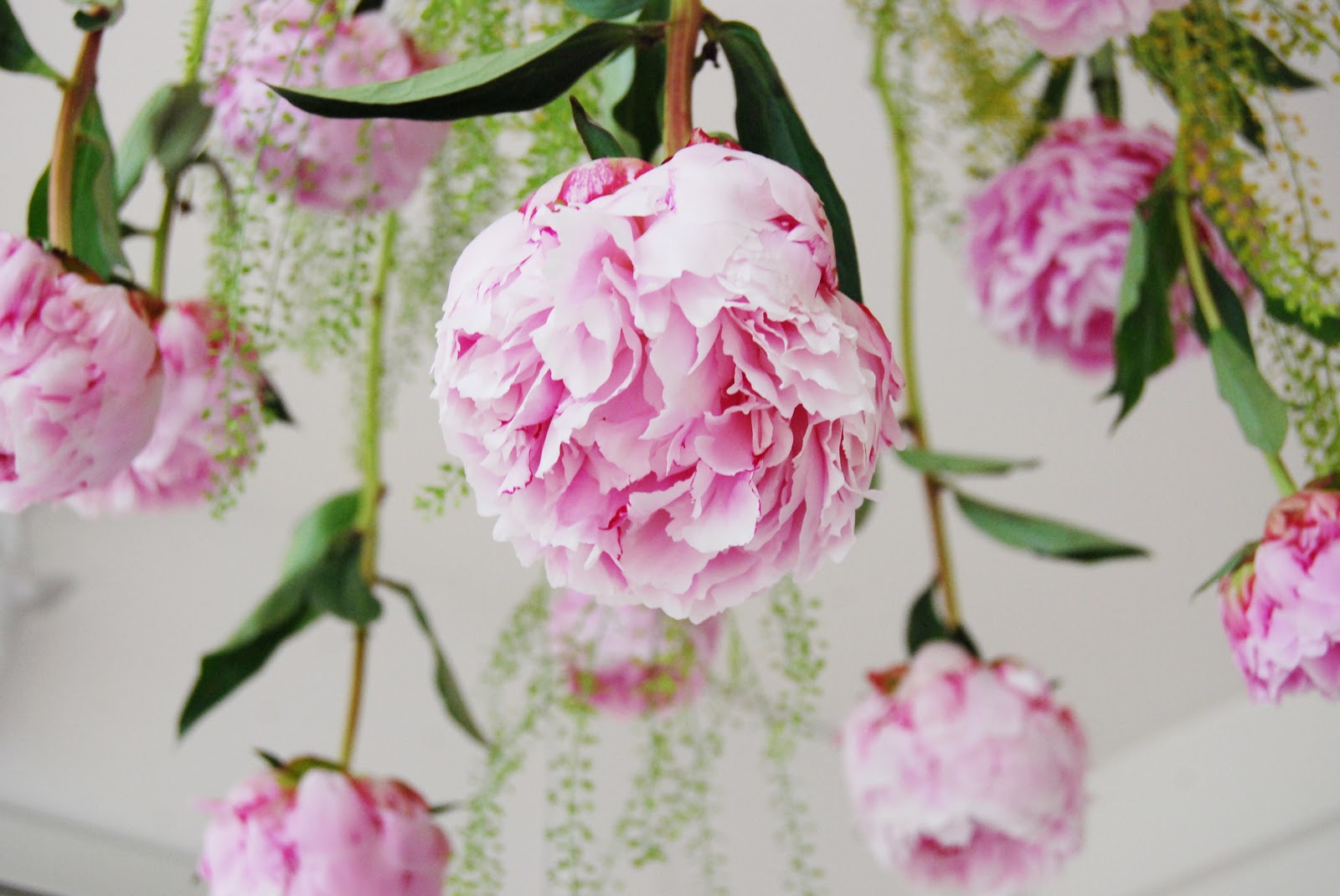 Hanging Peonies & Happiness | Brick Dust & Glitter