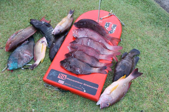 One More Drop Hawaii: Munu are delicious