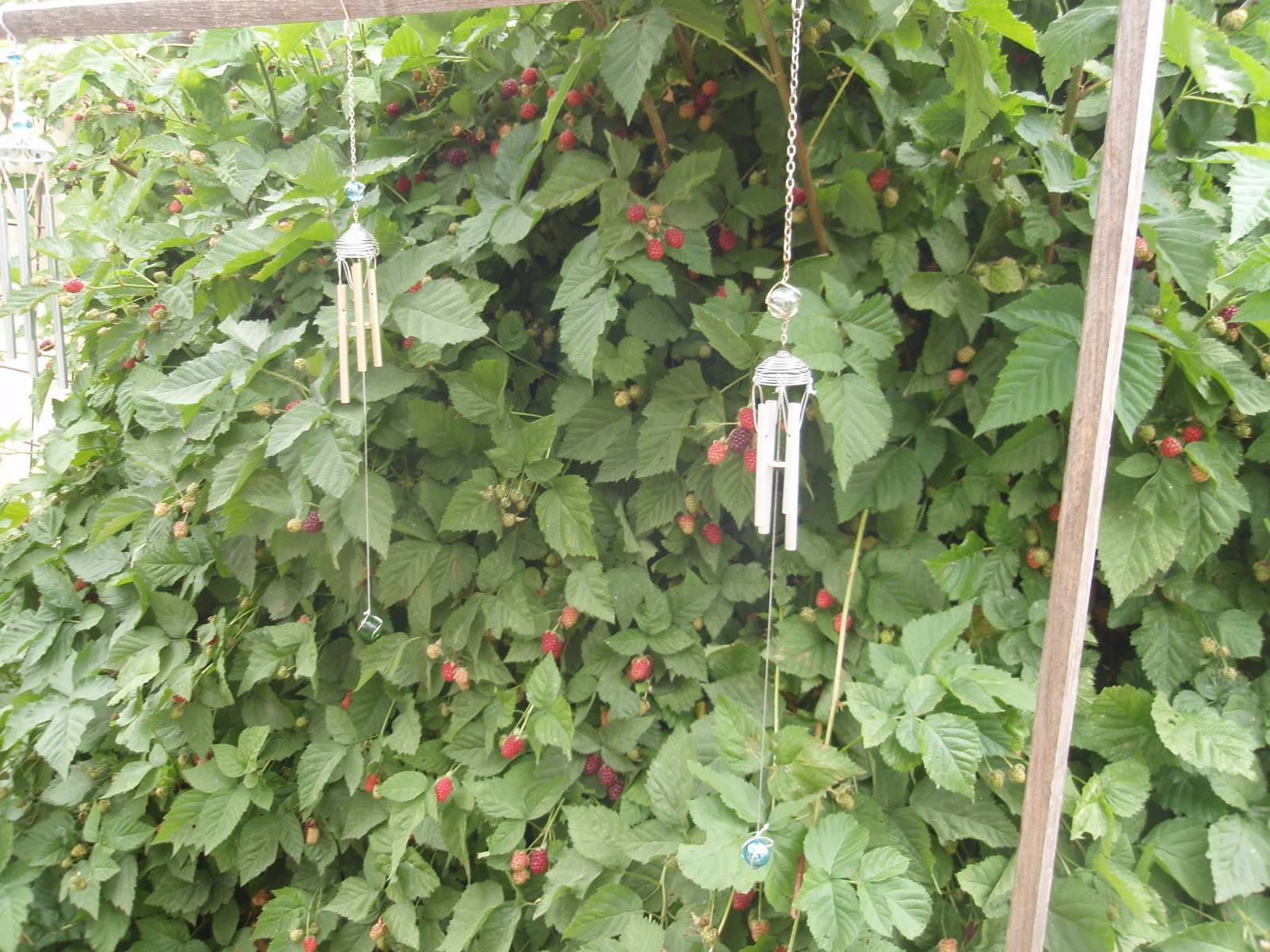 Garden Gatherings: Fantastically Fruitful