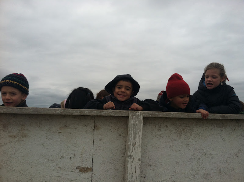 Ms. Solano's Kindergarten Class: Miller Farms Field Trip