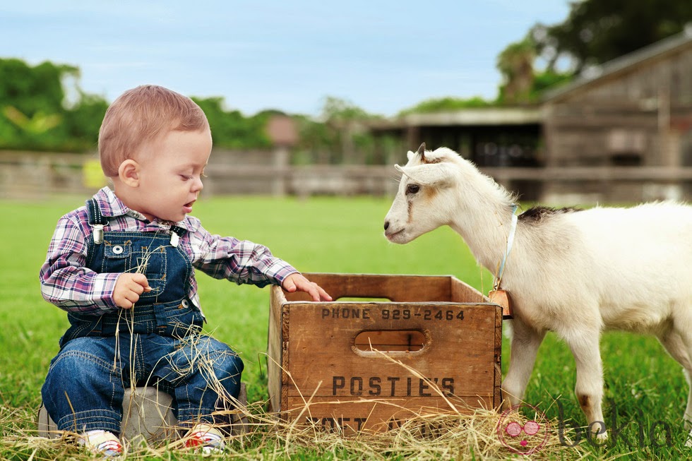 Venta > bebes vestidos de vaqueritos > en stock