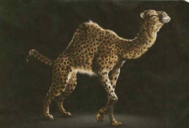 @OMGDidYaKnow: According to Ancient Romans and Greeks, Giraffes = Camel ...