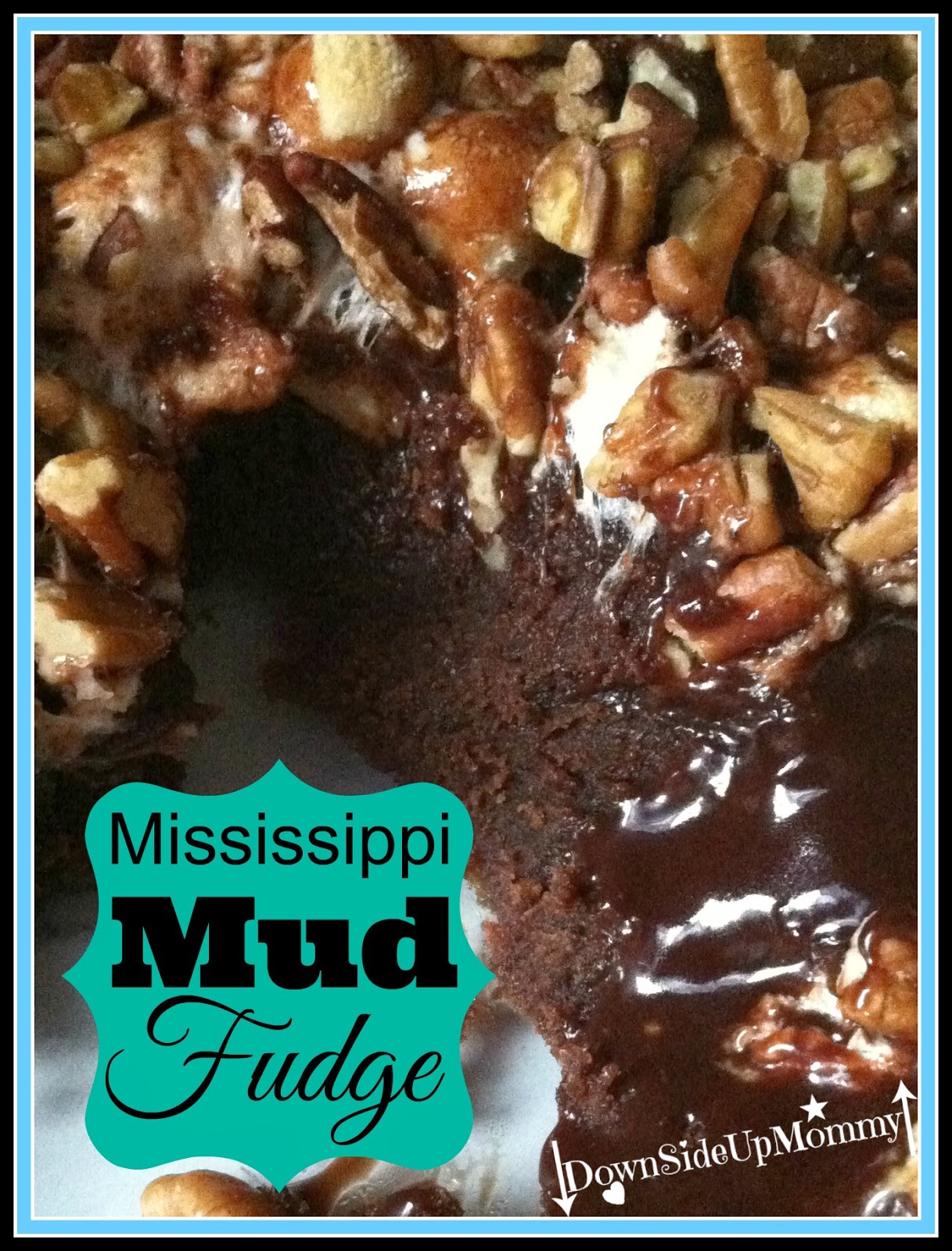 Down Side Up Mommy: Mississippi Mud Fudge