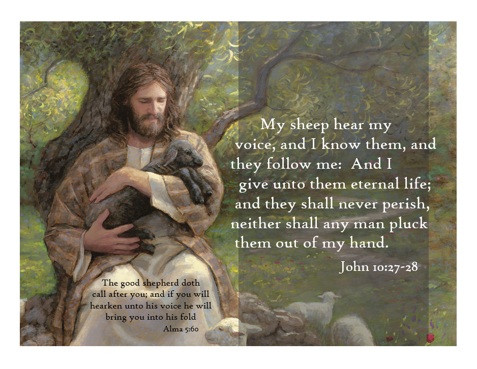 Gospel Cougar: The Good Shepherd