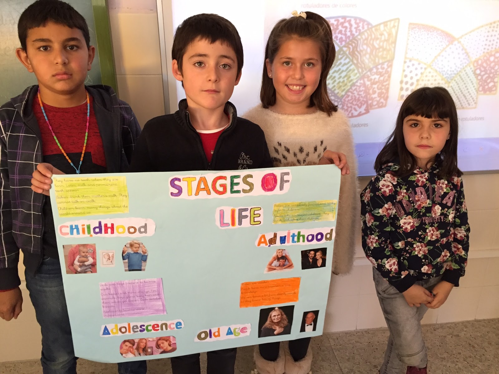 Science 3º Primaria Pedro I: Stages of life. Pósters 3ºC