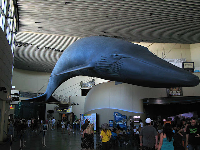 The Great Silence: The Water Rises!