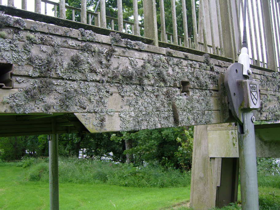 The Happy Pontist: Scottish Bridges: 23. Aberfeldy Footbridge