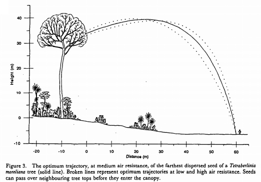 SearchReSearch: Answer: You mean.. they explode?