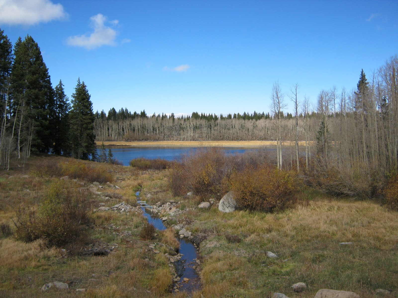 gjhikes.com: Griffith Lake