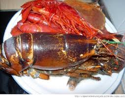 Panamá: tradiciones Indígenas ~ Pueblos Nativos Pocos Conocidos de América