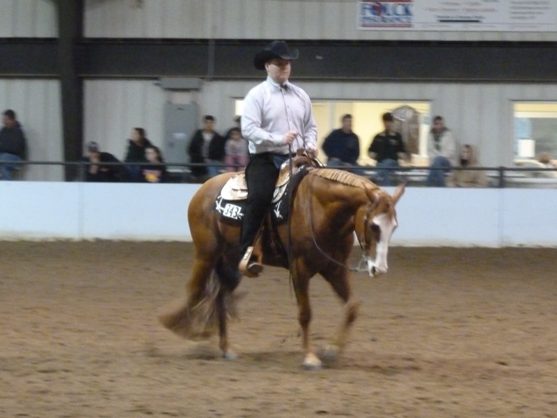 Sonshine Saddlery: Western Horsemanship