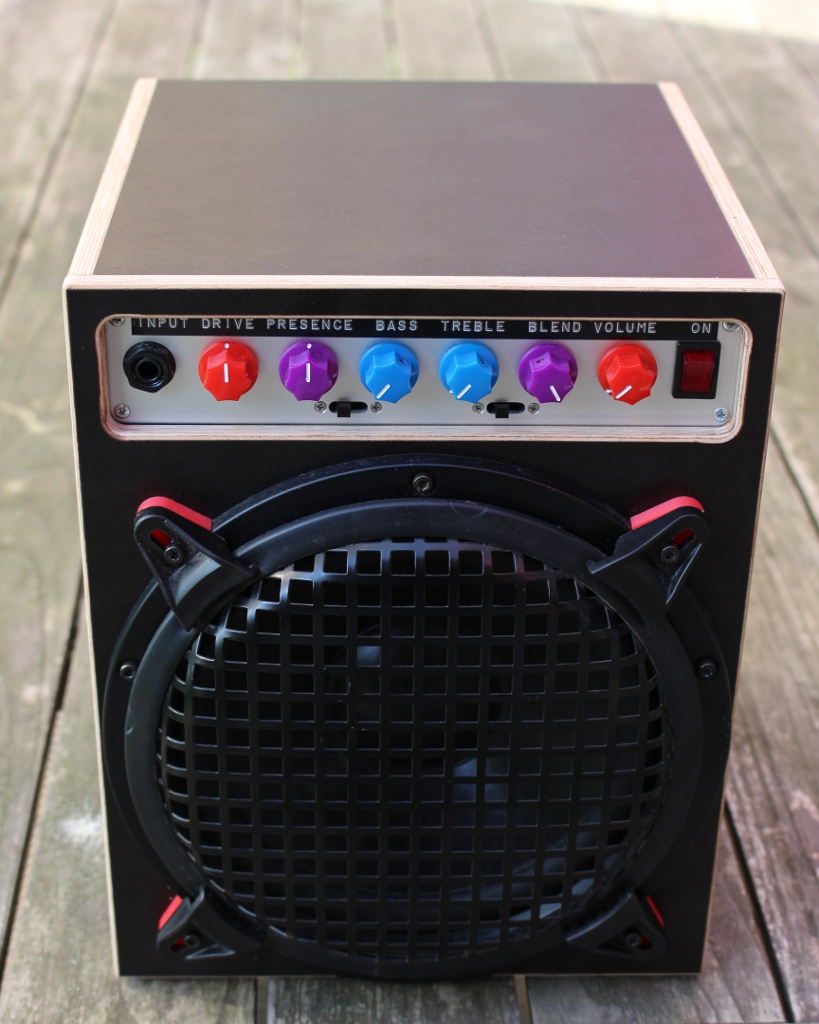 /usr/local: DIY class D practice amp and 8" cabinet