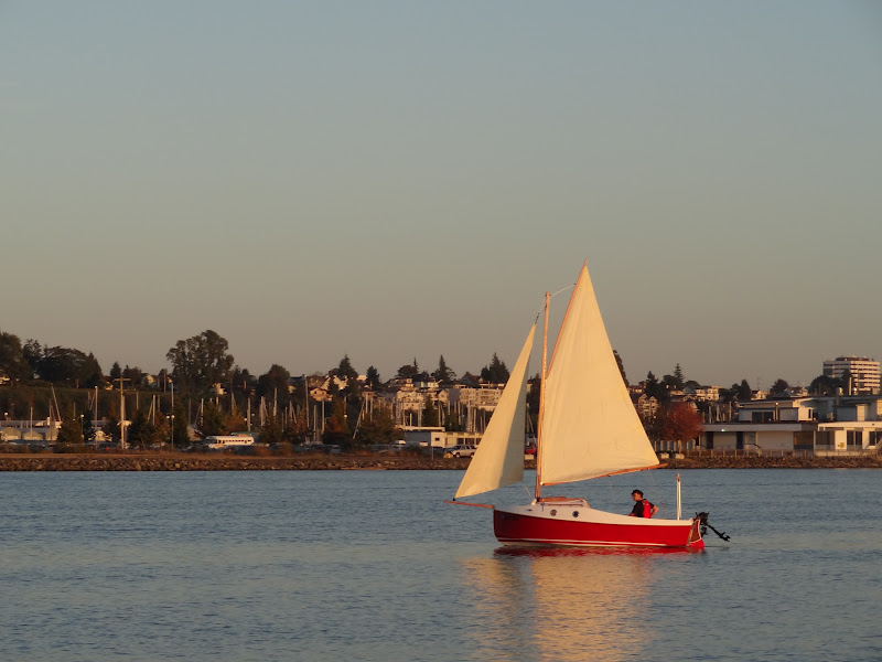 Jon's Adventures with Solitude III - Jon's PocketShip: About Solitude III