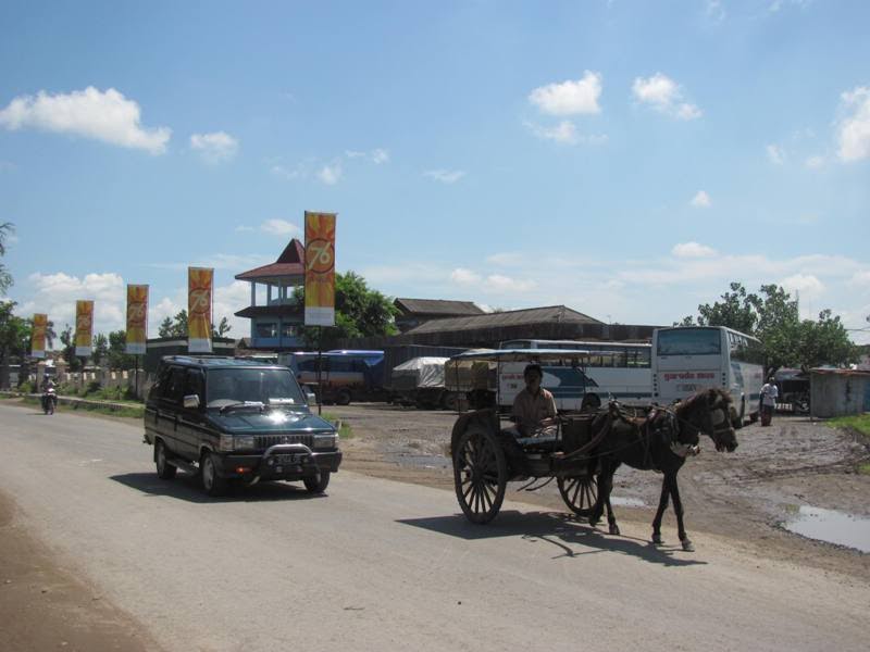 Delman, Transportasi Tradisional Murah Meriah di Indonesia