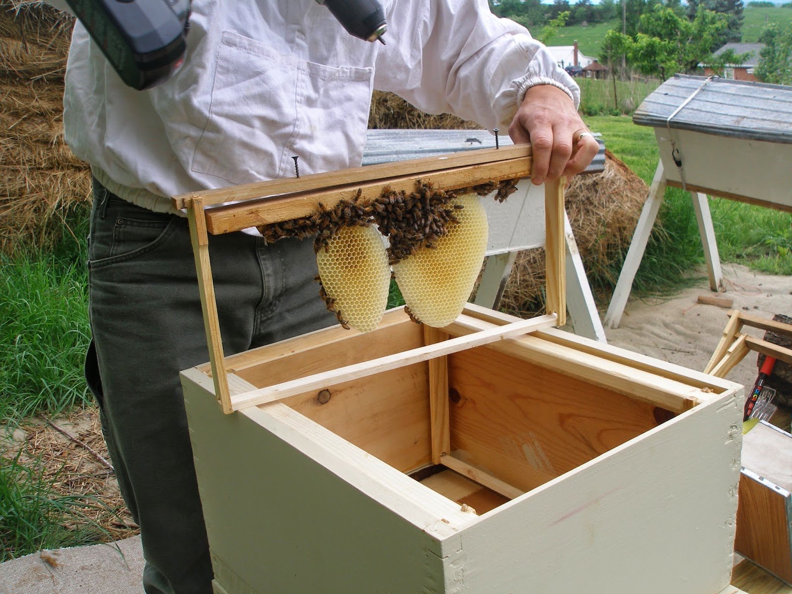 Thy Hand Hath Provided: Our First Langstroth Hive