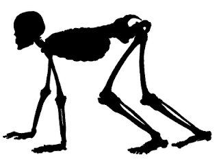 Telecanter's Receding Rules: 5 Skeleton Variants