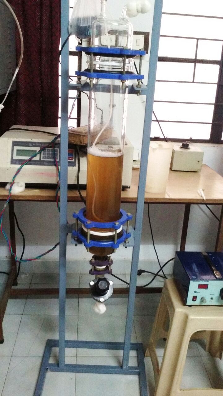 Jessy- My blog: Bubble column reactor for violacein production- trial ...