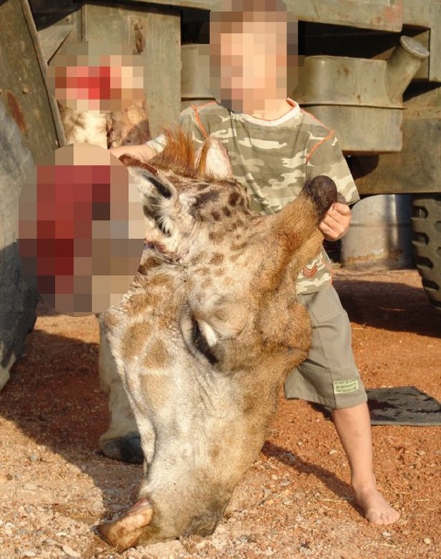 Abominable! Ahora los niños cazadores se muestran orgullosos al lado de ...