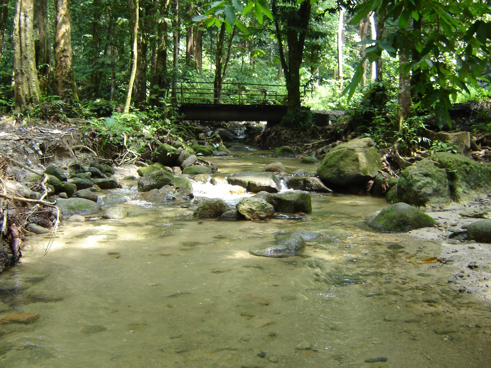 a malaysian campervan journey: Camping at Ulu Langat