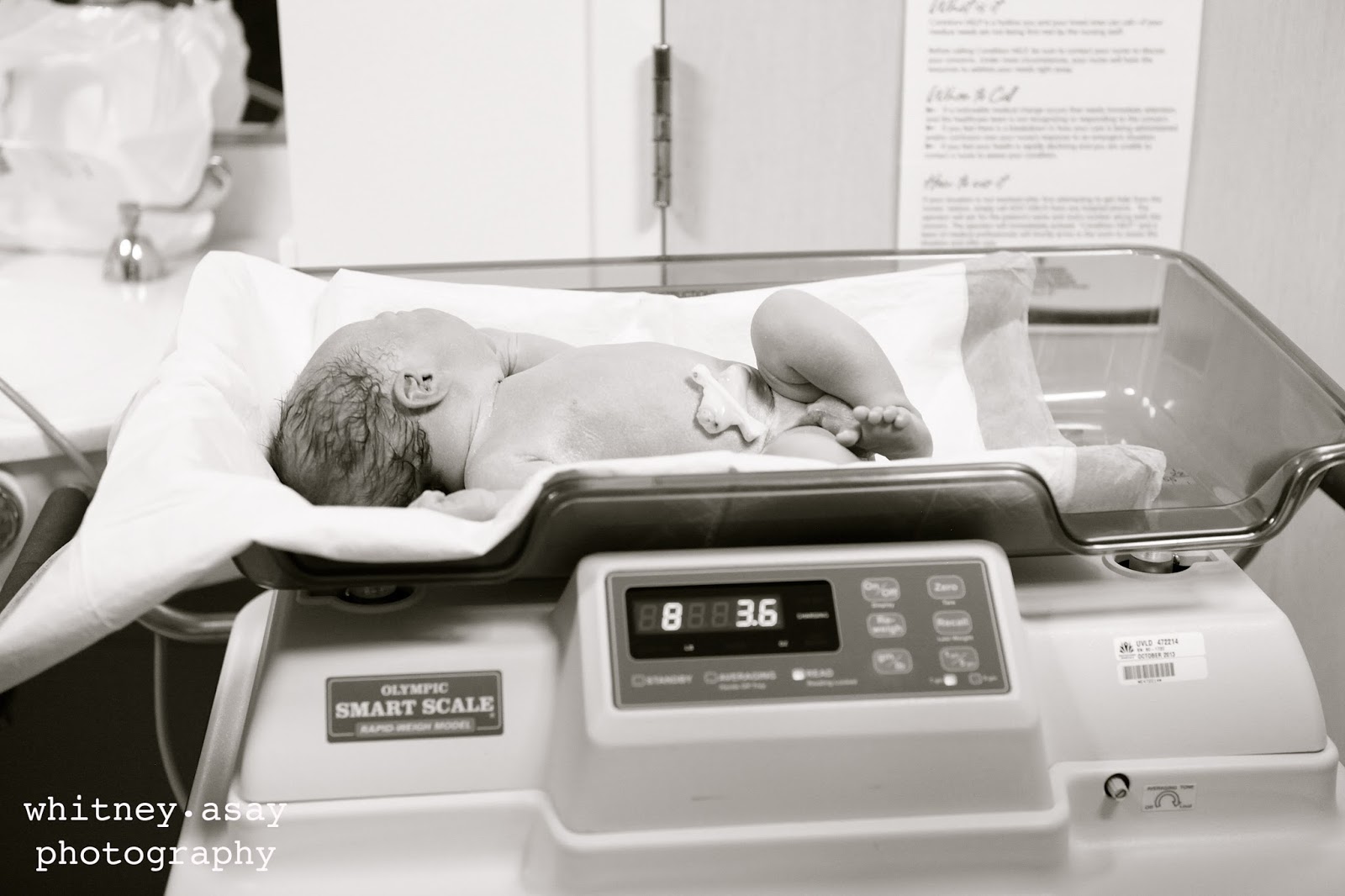 whitney asay photography