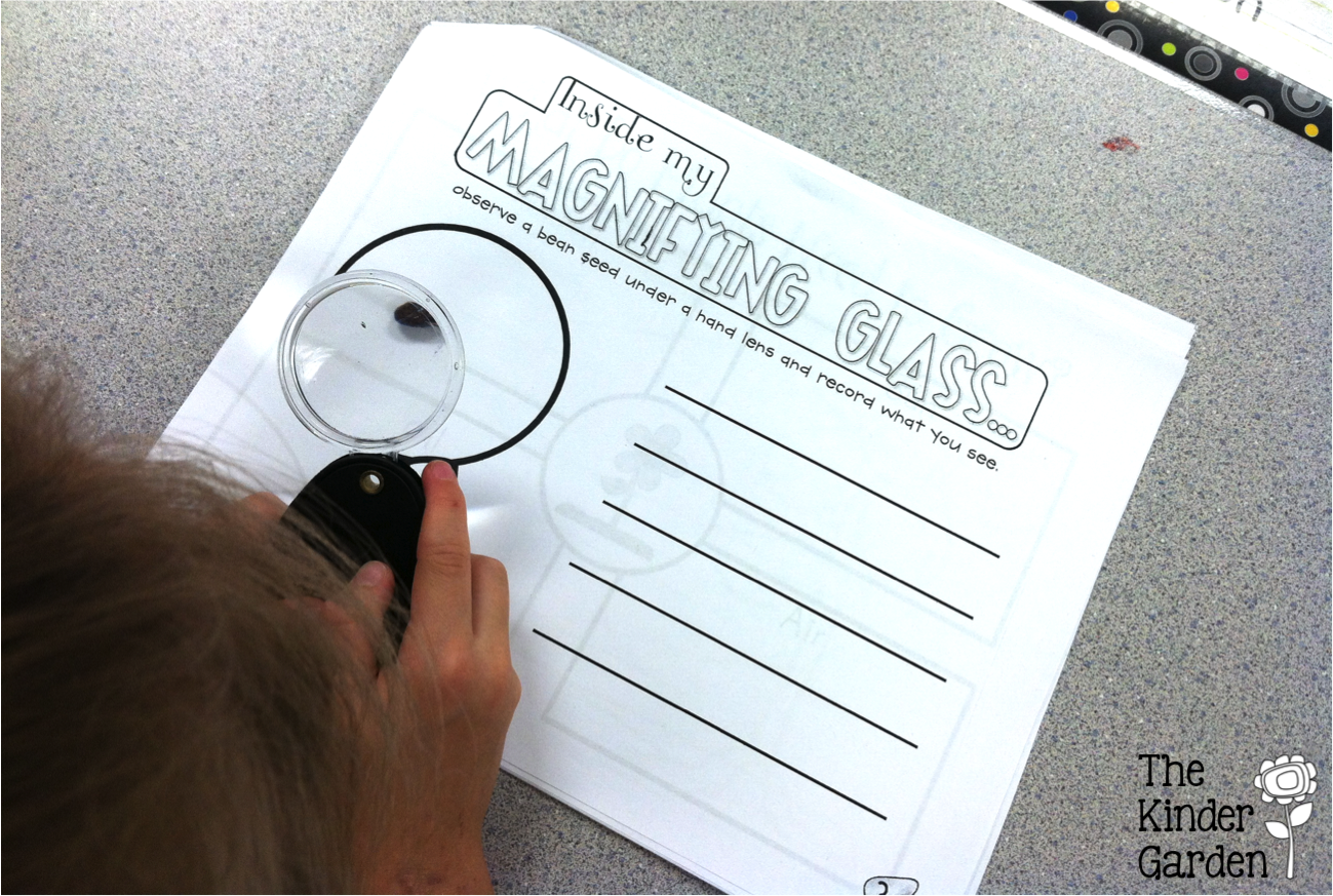 The Kinder Garden: Plants and Living Things {plus freebies!}