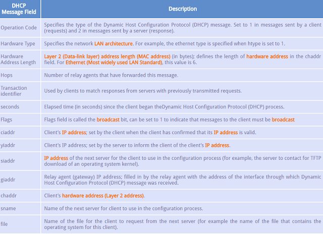 Networking And Scripting : Packet Formats to Remember