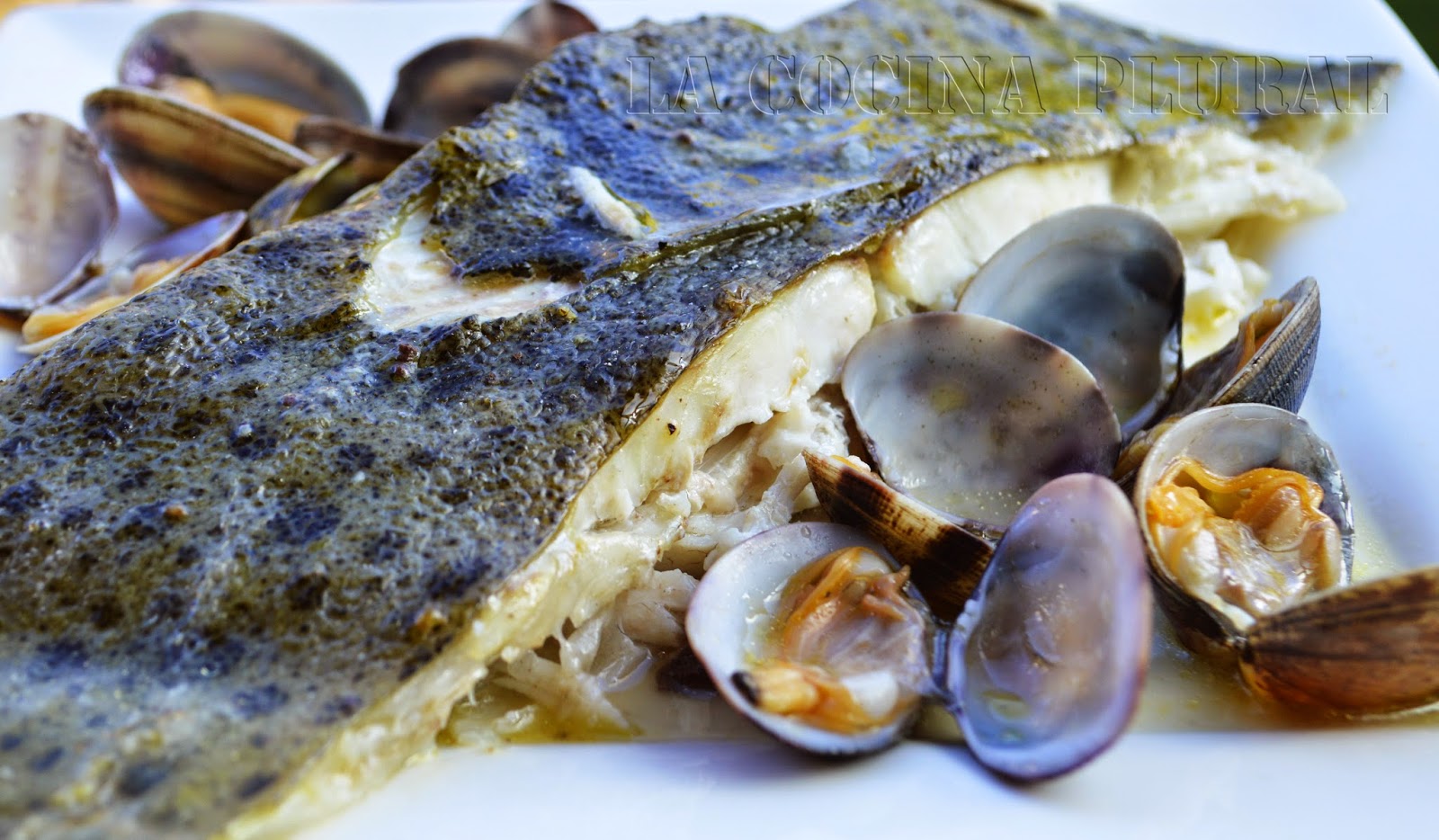 LA COCINA PLURAL: RODABALLO CON ALMEJAS MARINERA AL CAVA