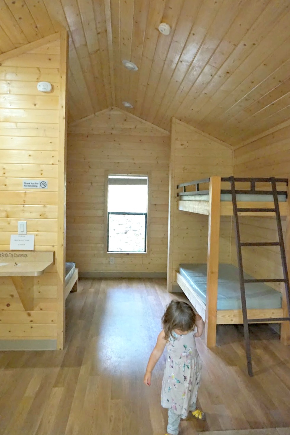 The Thrifty Traveler: Cabin Camping at Samuel P. Taylor State Park