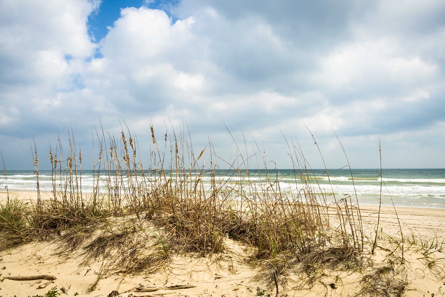 Excursionistas2: Beachcomber’s Paradise