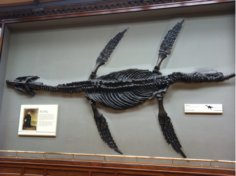 [la scienza marcia e la menzogna globale] Plesiosauri nell'arte ...