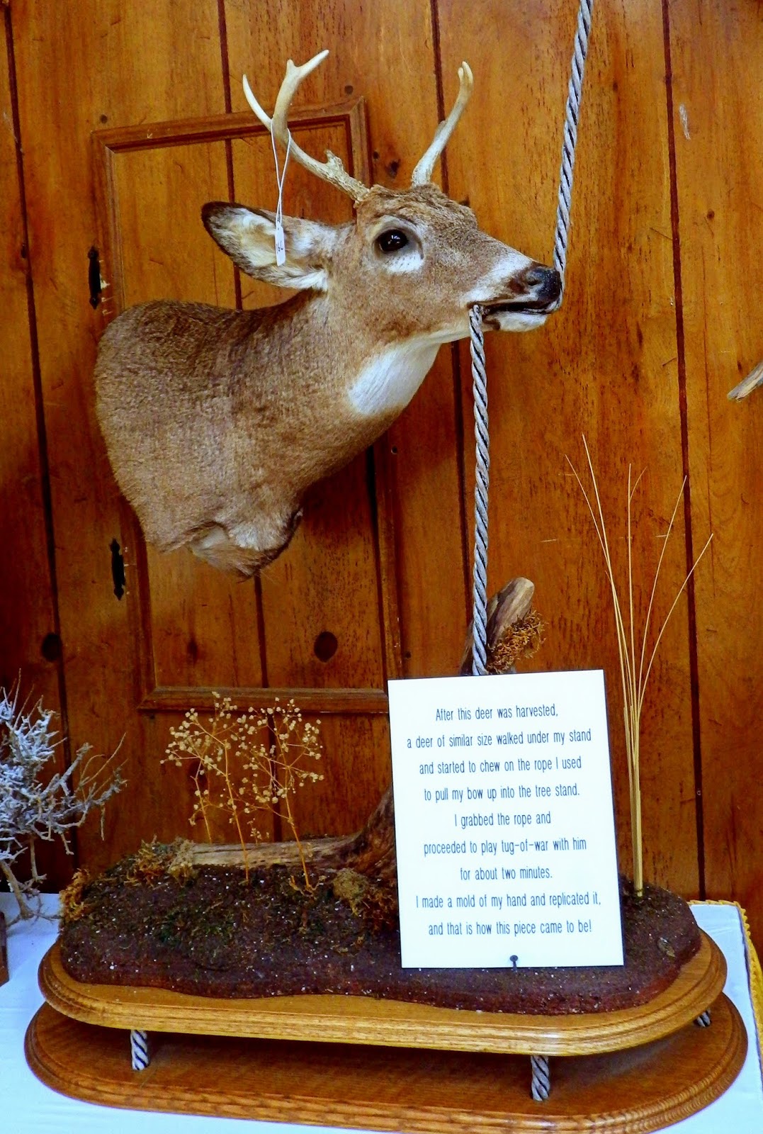 Reverend Fowl: Photo Album: Game Fair 2018 Reopens August 17th