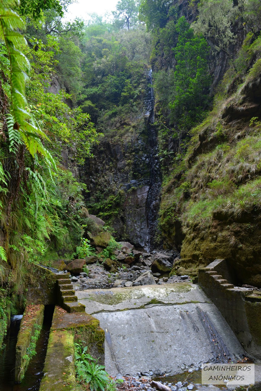 Caminheiros Anónimos Levadas da Madeira : Levada do Pico Ruivo (Ilha)