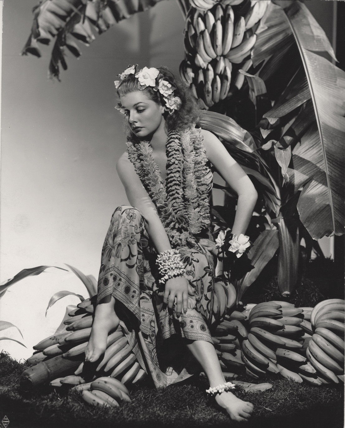 Slice of Cheesecake: Ann Sheridan