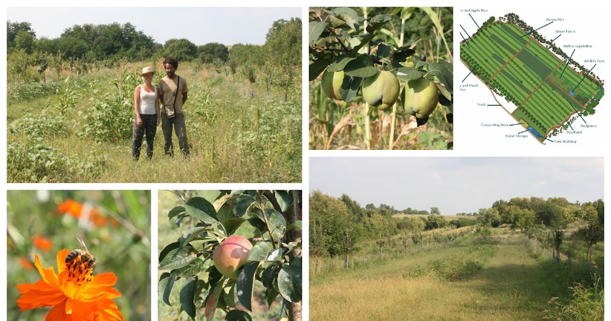 Balkan Ecology Project : Regenerative Landscape Design - 5 ha ...