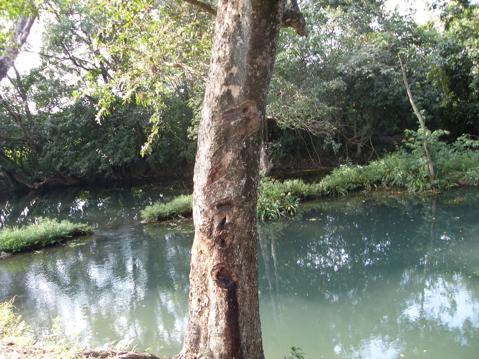 MACTUN: El Engrudo Del Ombligo... Perdon Del Terruño!!!!!!!