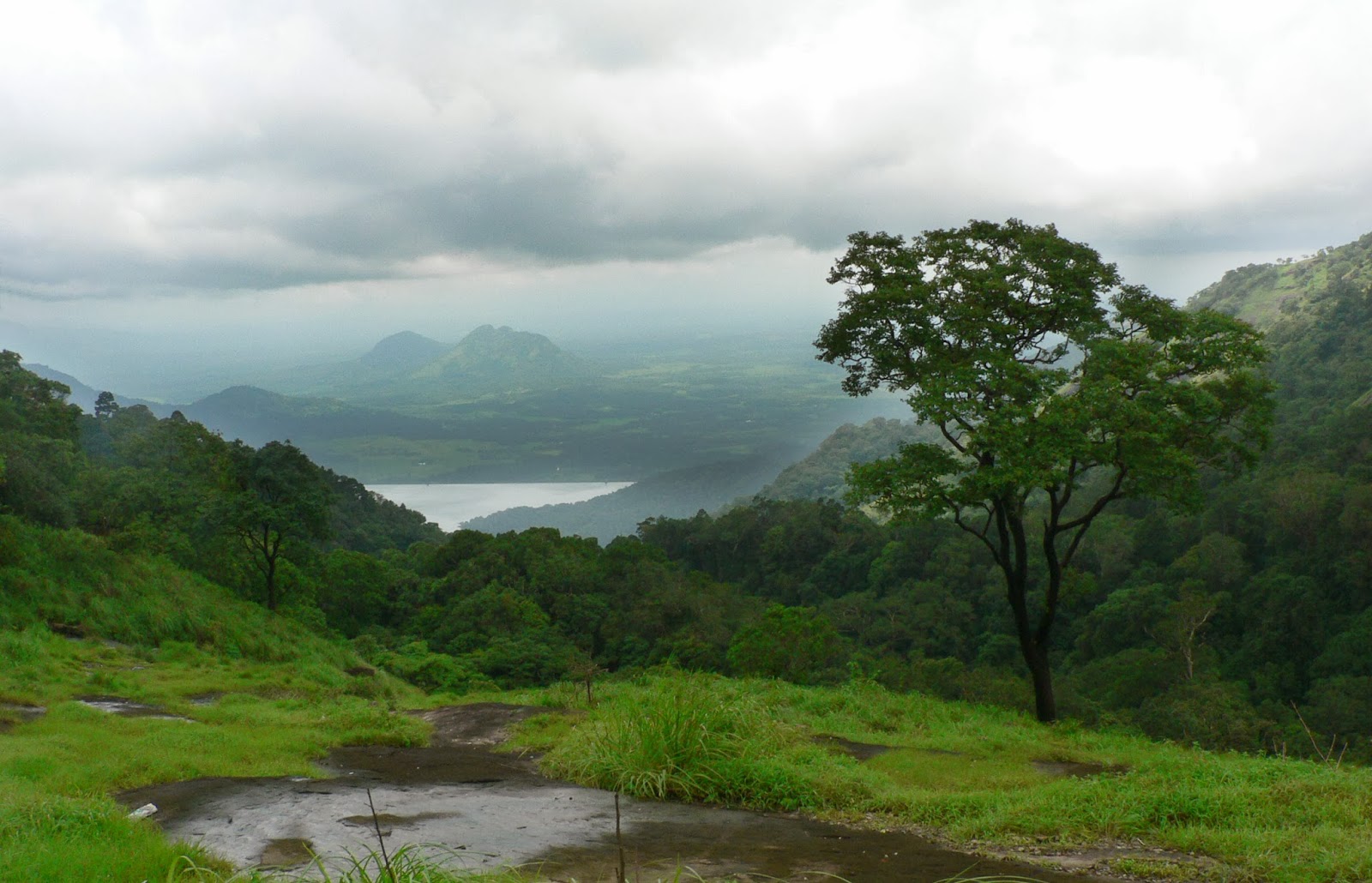 Pothundi Dam photos
