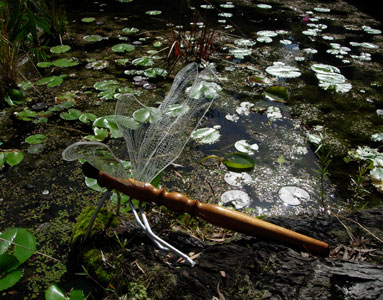 LAND OF THE DEAD: THE MAGNIFICENT, GIANT (AND UNFORTUNATELY EXTINCT ...