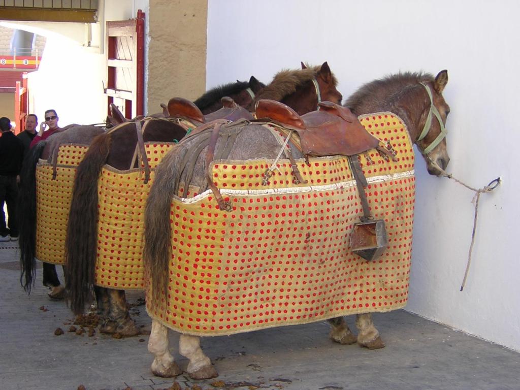 VETERINARIOS TAURINOS DE ANDALUCIA: A PROPOSITO DE LA SUERTE DE VARAS